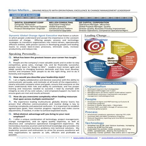 Brian_Mellen_Executive_Summary | PDF