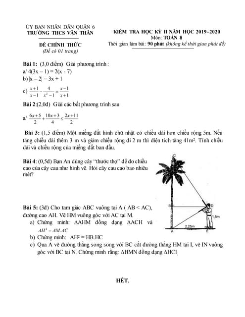 Đề Thi HK2 Toán 6 - THCS Trung Lập | PDF