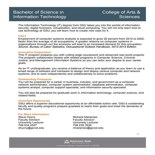 GSU IT Program Fact Sheet | PDF | IT and Internet Support | Internet