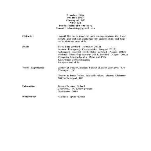 Brandon King's Resume | DOCX