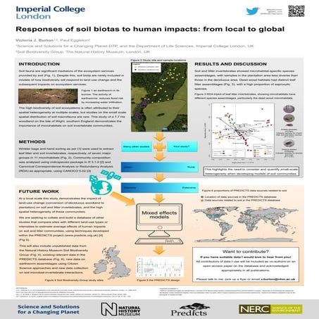 Biome tic tac-toe choice board | DOC