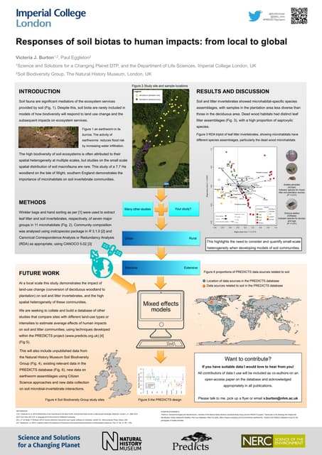 MHing fish poster | PDF