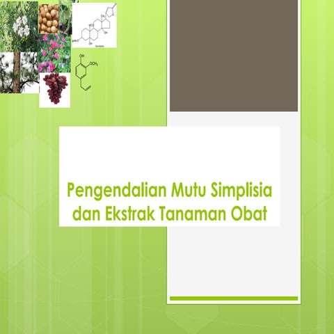 PPT 382908047-4-Pengendalian-Mutu-Simplisia-Dan-Ekstrak.pptx