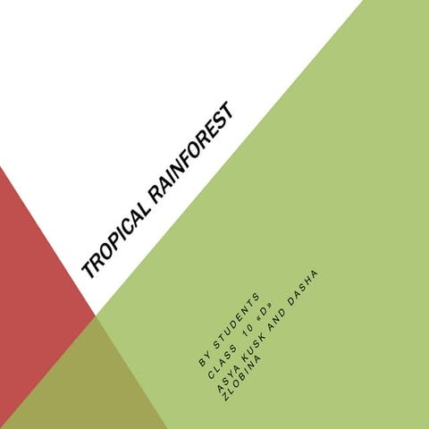 The rainforest | PPT