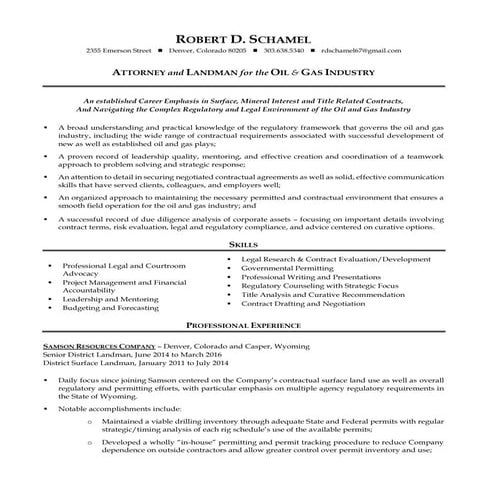 Schamel Resume 2016.3 | PDF