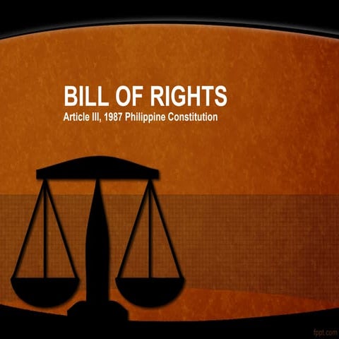 Summary Bill or RIGHTS Article 3 Section 1-22 | PDF