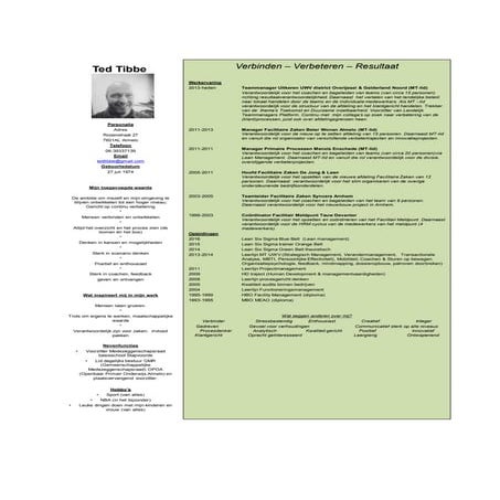 CV Ted Tibbe_jan_2017 | DOCX