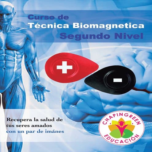 BIOMAGNETISMO 2DO NIVEL | PDF