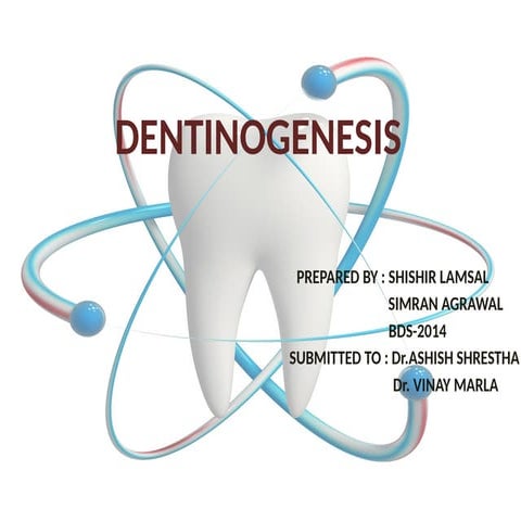 Dentinogenesis and their functional characterization.pptx