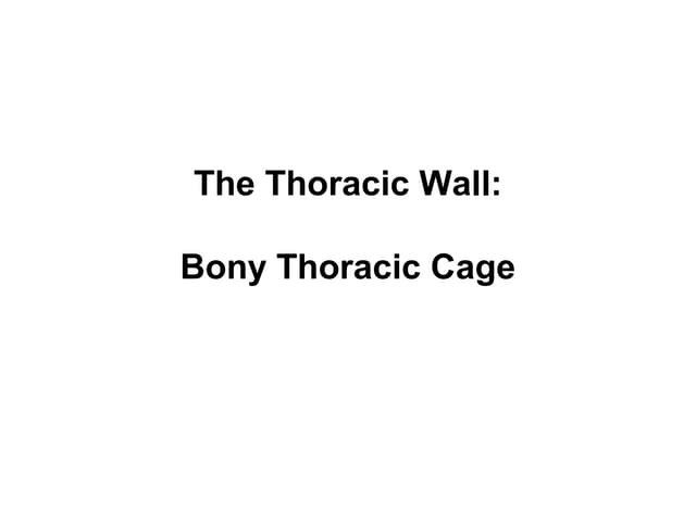 Anatomy Lecture 3 Thoracic Wall 1 Slides Ppt