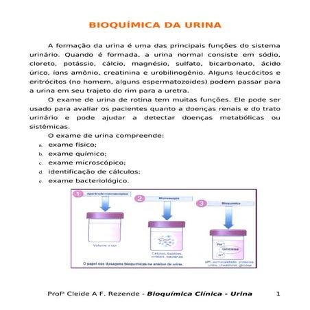 4. Exame Microscópico da Urina praticas | PPTX