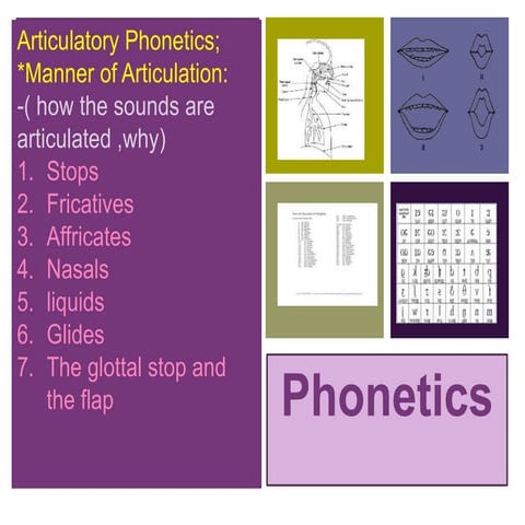 phonetics | PPTX | Digital Audio | Computer Software and Applications