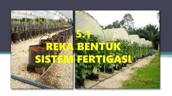 Reka bentuk akuaponik | PPTX