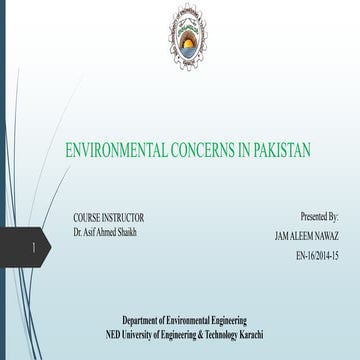 Environmental Problems (Local, Regional, and Global Levels) | PPTX
