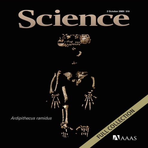 Science - Ardipithecus ramidus | PDF