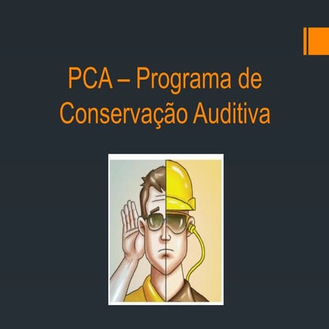 Programa de Conservação auditiva - PCA Fundacentro | PDF