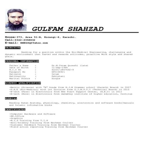 C.V of Gulfam | DOCX