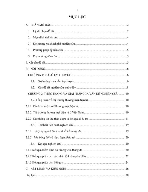 nghiên cứu khoa học về thương mại điện tử.docx