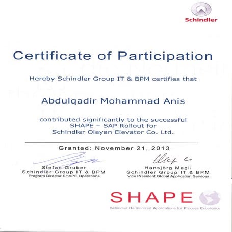 SAP CERTIFICATE | PDF