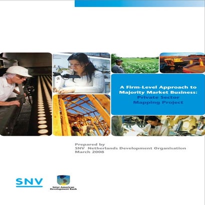 Private Sector Mapping ProjectENG (1) | PDF