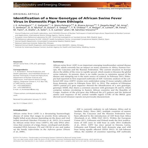 New genotype of ASF in Ethiopia | PDF