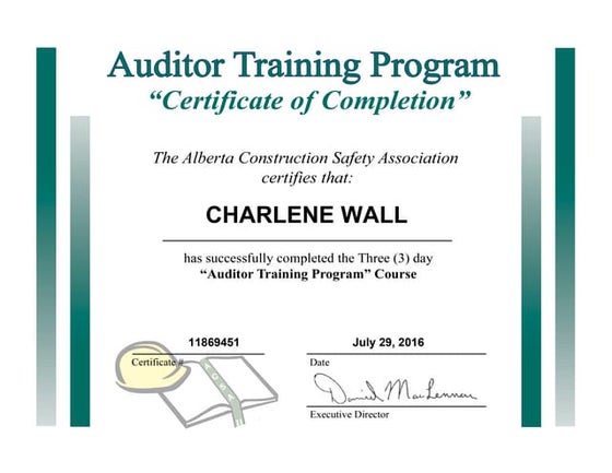 CSTS CERTIFICATE | PDF