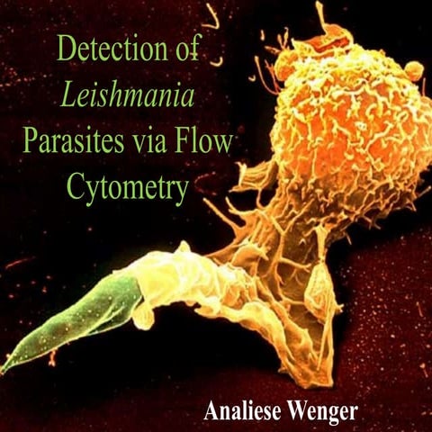 2015 Detection of Leishmania Parasites via Flow Cytometry Revise | PPT
