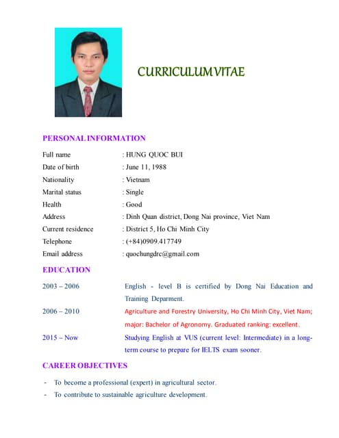 Thai.curriculum vitae | PDF