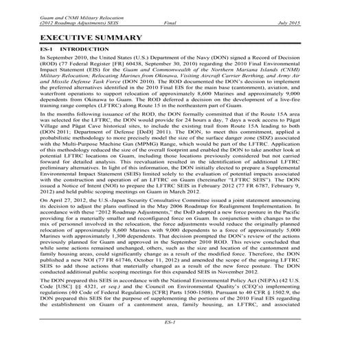 Executive Summary | PDF