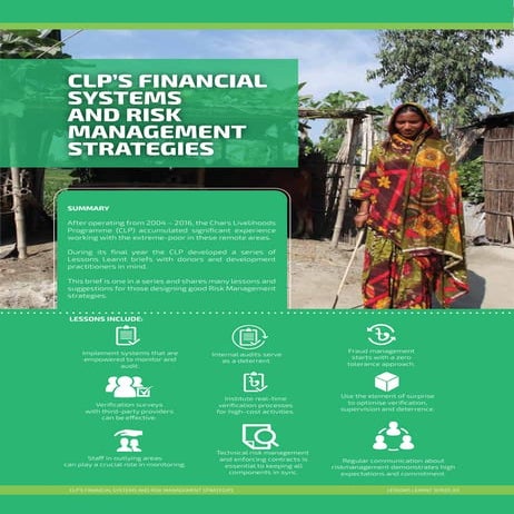 Pritchard M, CLP's-Financial-Systems-and-Risk-Management-Strategies | PDF