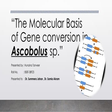 The Molecular Basis of Gene conversion ppt.pptx