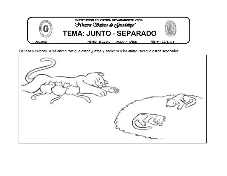 38 tema junto separado. 11pdf