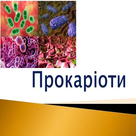 39 прокаріоти | PPT