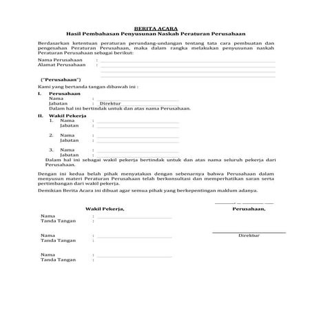 Contoh berita acara pemeriksaan dokumen | DOCX