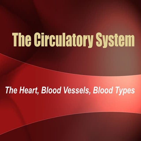 36637858390385234-Circulatory-System.ppt