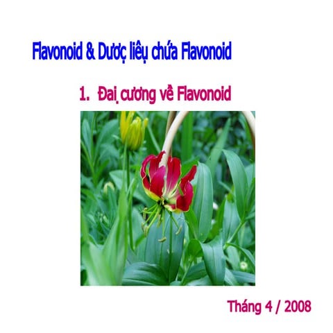 Bài Giảng Flavonoid & Dược Liệu Chứa Flavonoid | PDF