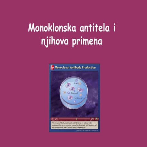 391441116-Poliklonska-i-monoklonska-antitela.ppt