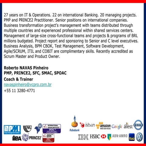 Mini CV RN (en) | PDF