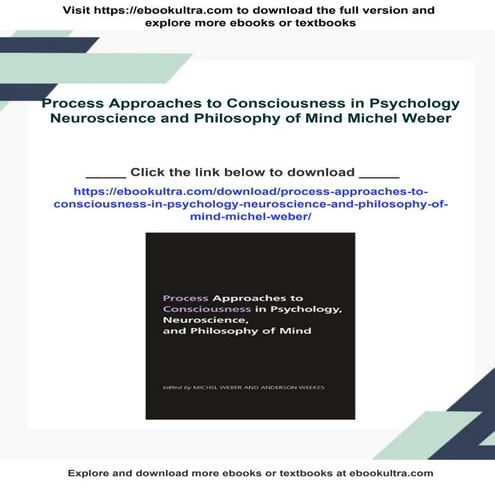 Process Approaches to Consciousness in Psychology Neuroscience and ...