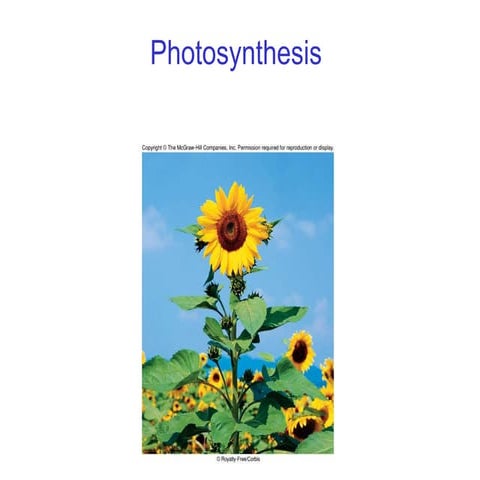 GENERAL BIOLOGY - PHOTOSYNTHESIS | PPT