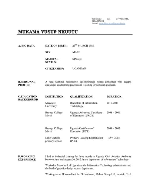My english CV | PDF