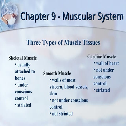 Comprehensive Overview of Muscle Tissues and Muscular System Functions ...