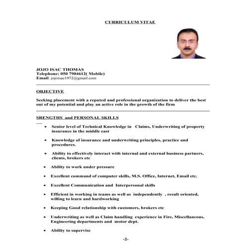 CV (MAROUN ABBOUD) - Copy (2) | PDF