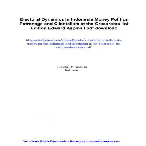 Electoral Dynamics in Indonesia Money Politics Patronage and ...