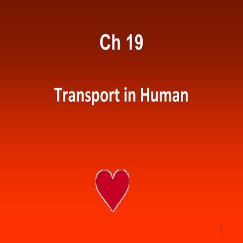 Transport in human, human circulatory system | PPT