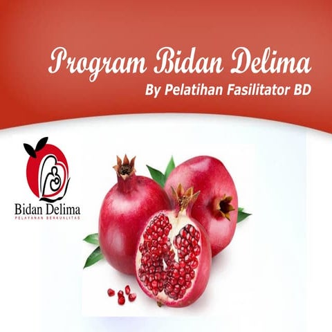 396937254-B-Program-Bidan-Delima. peran dan funsi | PPT