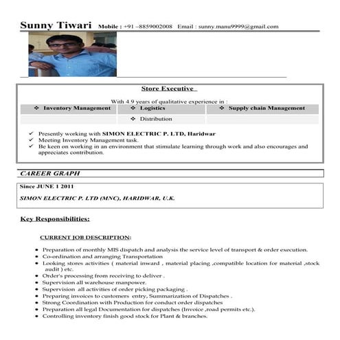 Resume Store Executive | DOCX