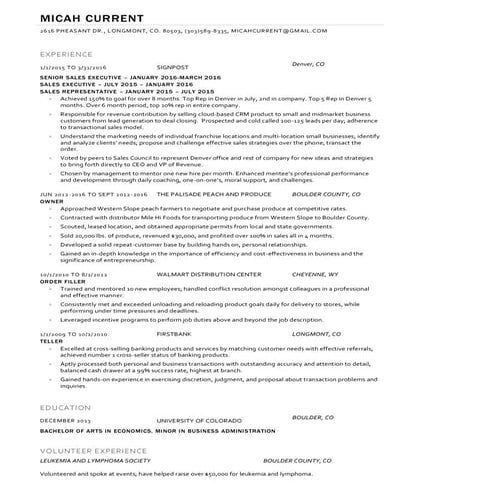 Sue Ledingham Resume.doc (1) | PDF