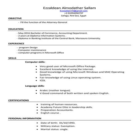 cv ezz sallam | PDF