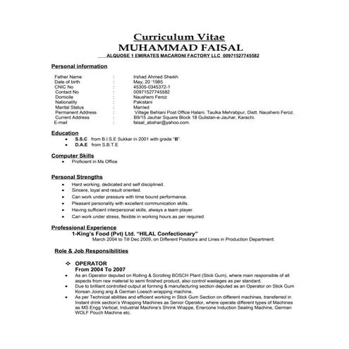 CV M.FAISAL | PDF